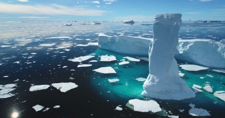 What's Behind the Decline of Emperor Penguins? - A-Z Animals