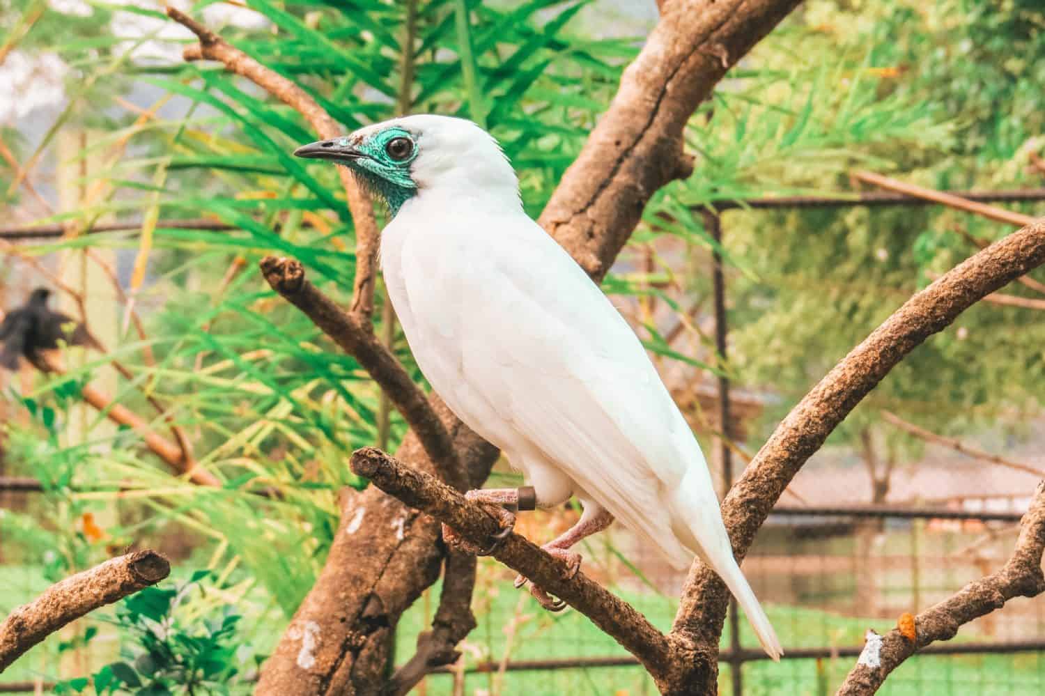 These 15 Birds Look Like Mythical Creatures Brought to Life – www ...