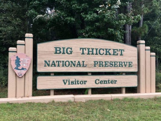 Inside the Big Thicket, Texas’s Biodiversity Hotspot - A-Z Animals