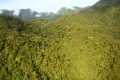 The Largest Rats in the World, From Giant Cloud Rats to Bamboo Rats - A ...