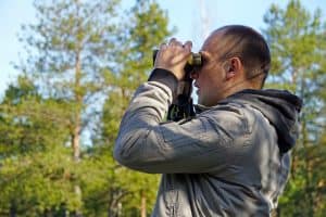 Rare Wood Stork Spotted in Wisconsin Thrills Birdwatchers - A-Z Animals