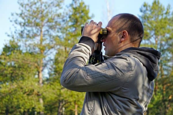 Rare Wood Stork Spotted in Wisconsin Thrills Birdwatchers - A-Z Animals