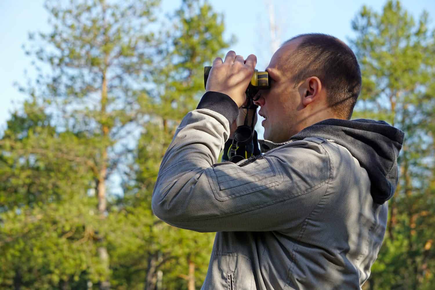 Rare Wood Stork Spotted in Wisconsin Thrills Birdwatchers - A-Z Animals