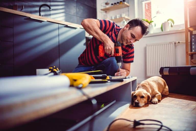 These Are 9 Noises That Dogs Absolutely Hate - A-Z Animals