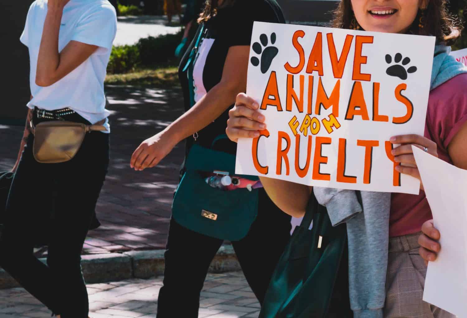 The Hidden Dangers of Factory Farming for Animals and Consumers - A-Z ...
