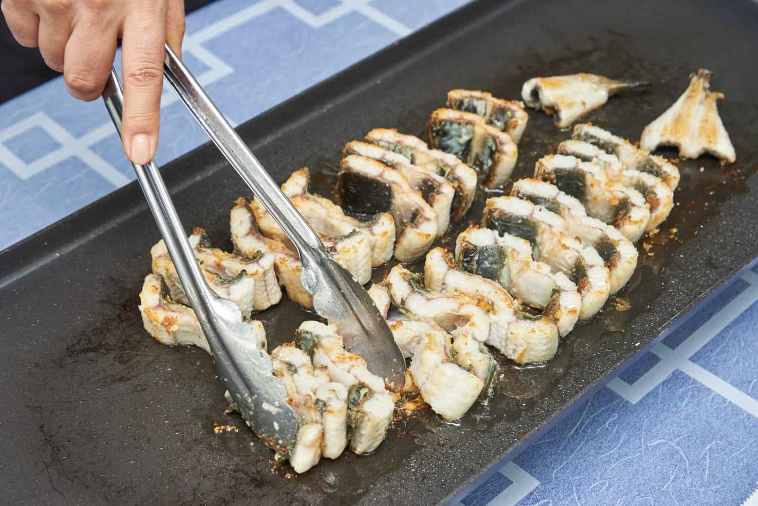 Electric Eel Fish Facts - Electrophorus electricus - A-Z Animals