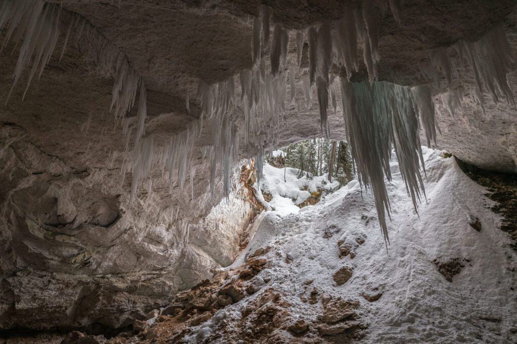 Scientists Find Rare 75,000-Year-Old Fossils in Remote Arctic Cave - A ...