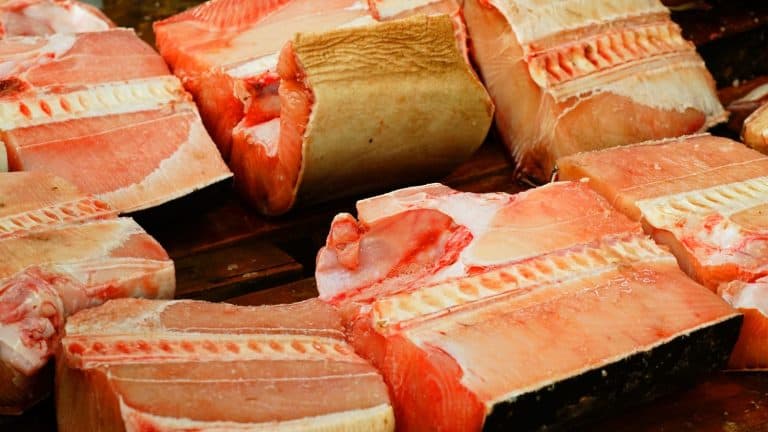 Capybara Meat: Do People Eat Capybaras? - A-Z Animals