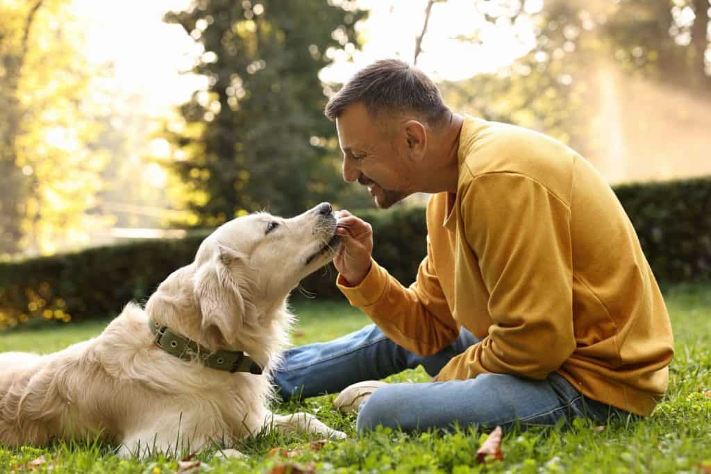 Why Dogs Are So Loyal to Humans - A-Z Animals