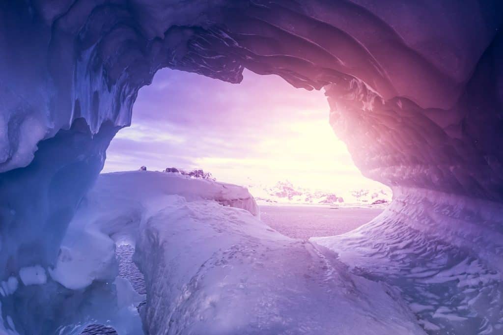 Scientists Find Rare 75,000-Year-Old Fossils in Remote Arctic Cave - A ...