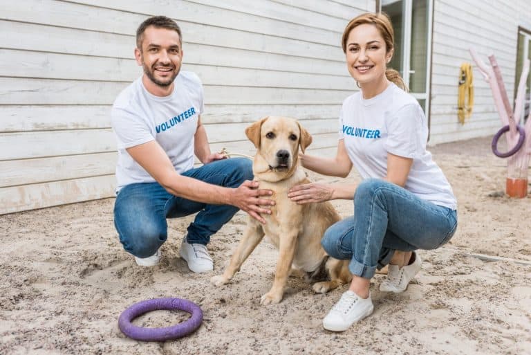 World Animal Day Is October 4. Here's How You Can Participate. - A-Z ...