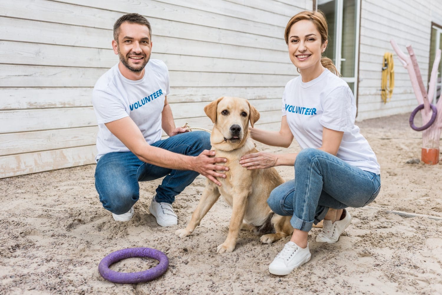 Puppy Mills vs. Responsible Breeders: How to Tell the Difference - A-Z ...