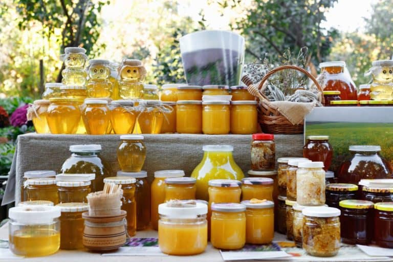 A Beginner's Guide to Beekeeping - A-Z Animals