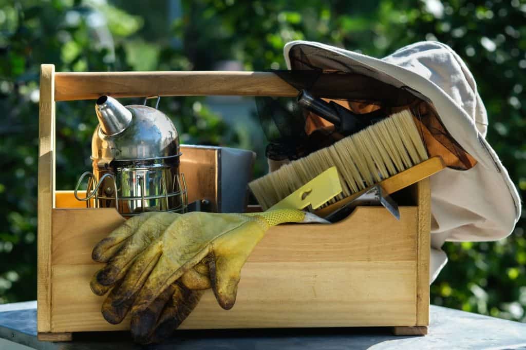 A Beginner's Guide to Beekeeping - A-Z Animals