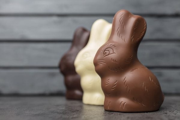 These Are 10 Foods Rabbits Should Never Eat - A-Z Animals