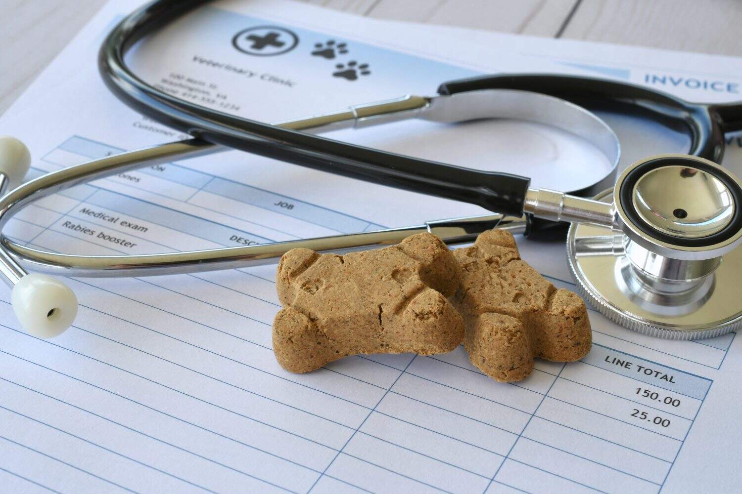Breaking Down the Costs of Dog Spay and Neuter Procedures - A-Z Animals