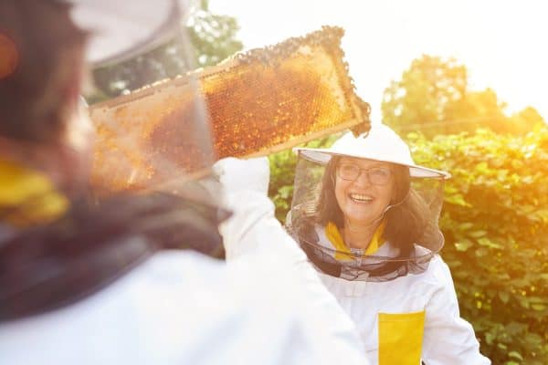 A Beginner's Guide to Beekeeping - A-Z Animals