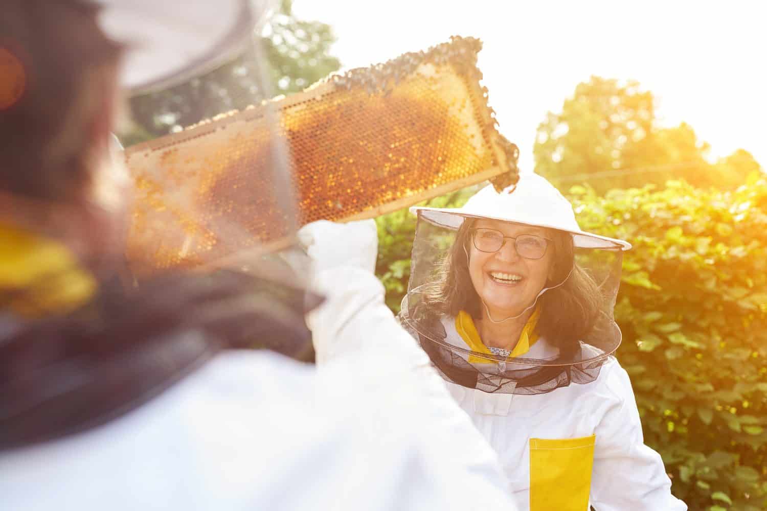 A Beginner’s Guide to Beekeeping