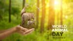 World Animal Day Is October 4. Here's How You Can Participate. - A-Z ...