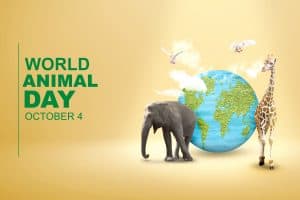 World Animal Day Is October 4. Here's How You Can Participate. - A-Z ...