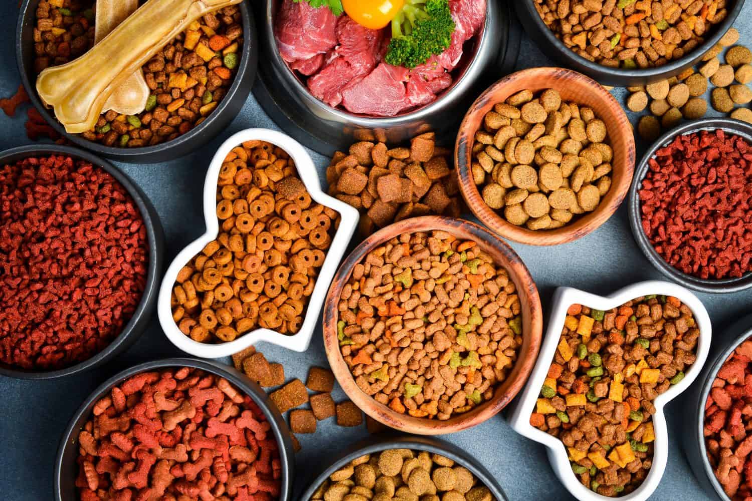 Can Your Dog Eat Raw Meat? - A-Z Animals