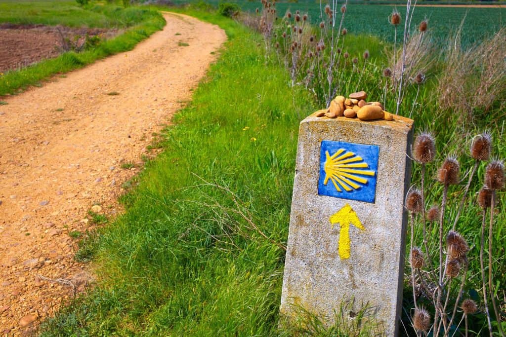 The Most Likely Animal Encounters You'll Have on the Camino de Santiago ...