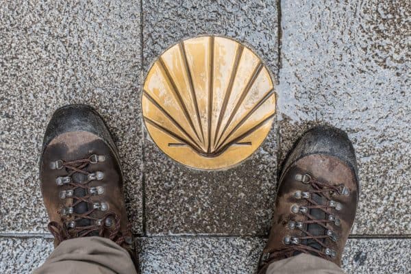 The Most Likely Animal Encounters You'll Have on the Camino de Santiago ...