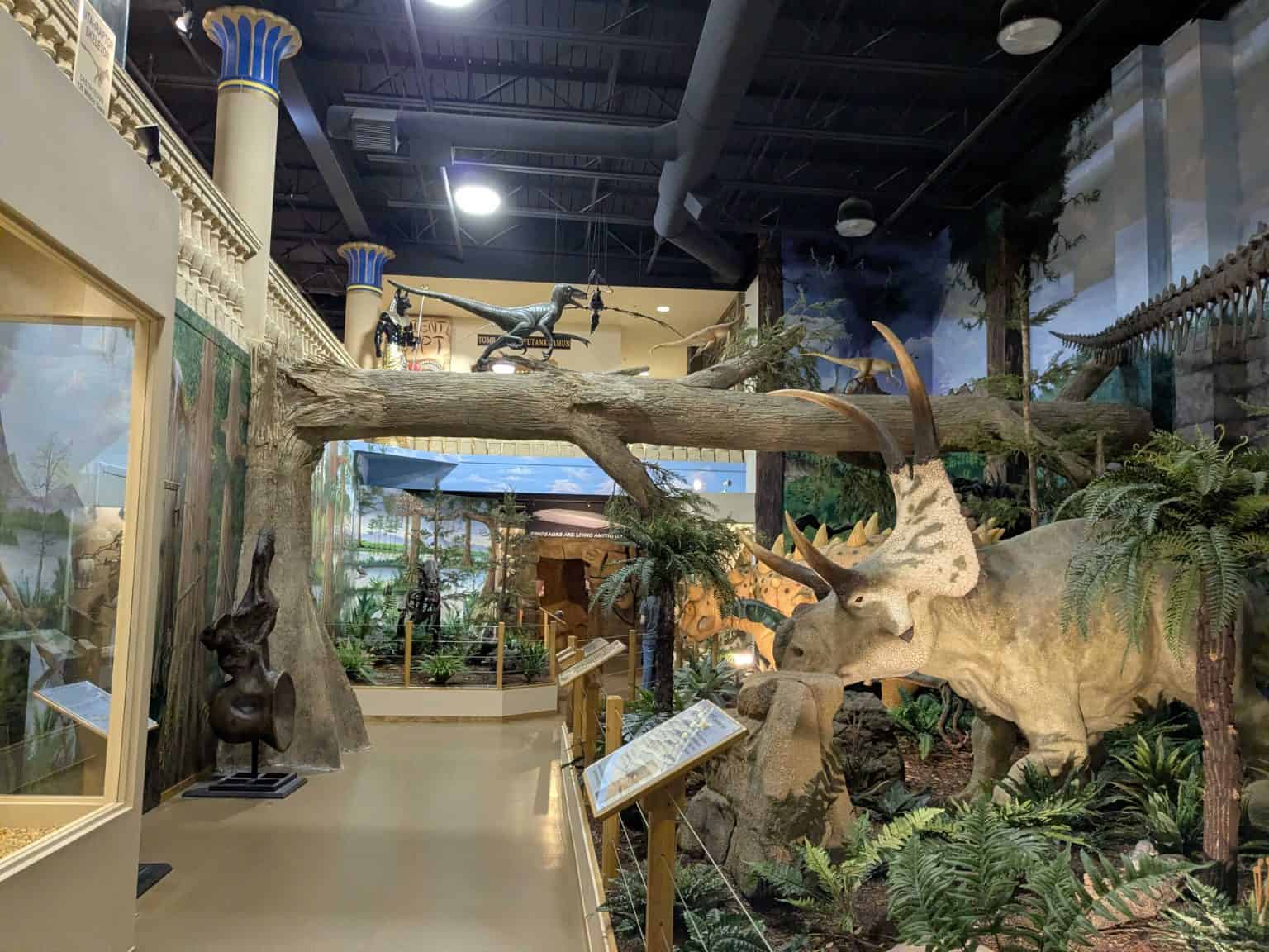 Why the Dinosaur Store in Cocoa Beach Is a Must-Visit Florida ...