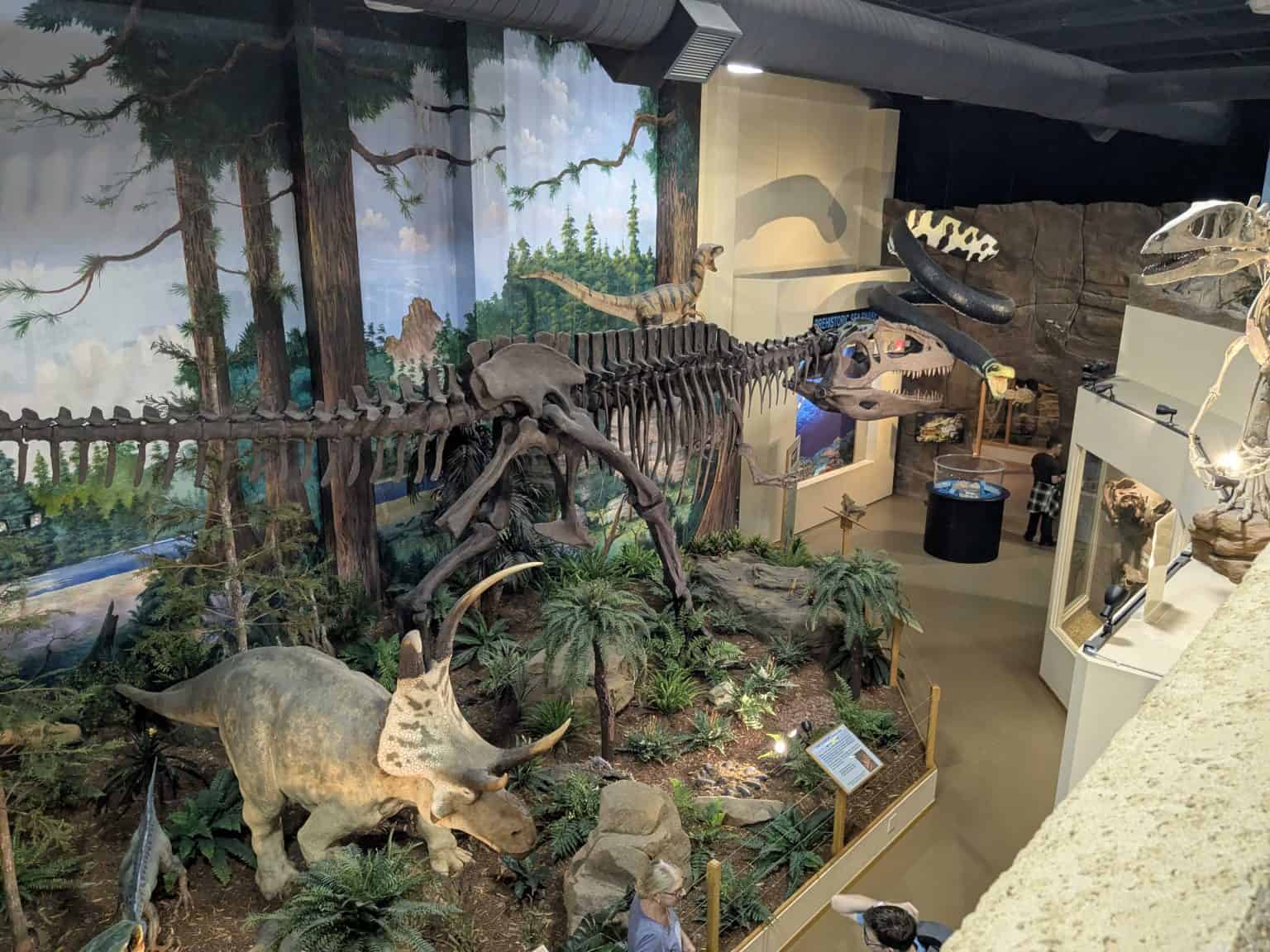 Why the Dinosaur Store in Cocoa Beach Is a Must-Visit Florida ...