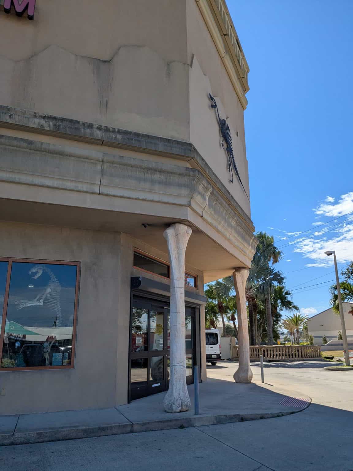 Why the Dinosaur Store in Cocoa Beach Is a Must-Visit Florida ...