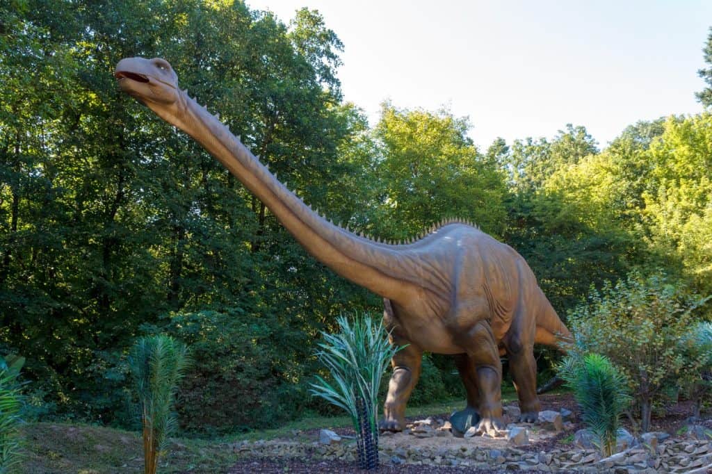 The Biblical Animals You’ve Never Heard Of - A-Z Animals