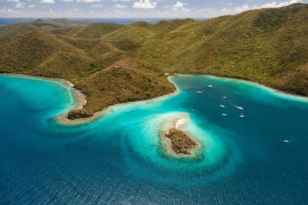 Every Animal in Virgin Islands National Park - A-Z Animals