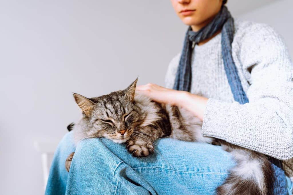The Life-Saving Pet Emergency Moves More Owners Need to Know, According ...