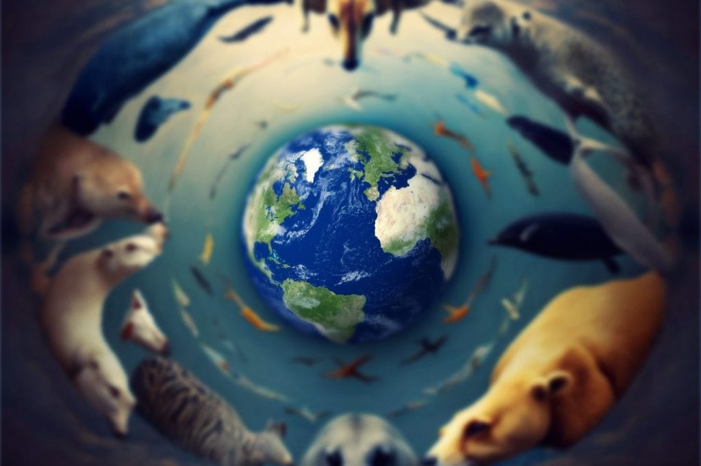 How Saving 1.2 Percent of Earth Could Prevent a Global Mass Extinction ...