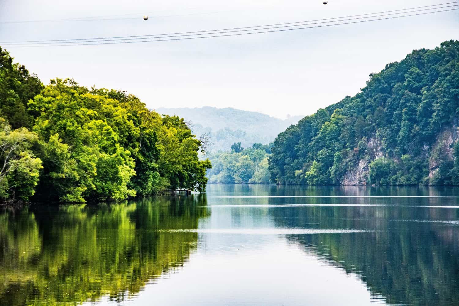 These Massive Pythons Are the World's Largest - A-Z Animals Slideshows