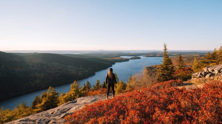 Every Animal You Can Spot in Acadia National Park - A-Z Animals