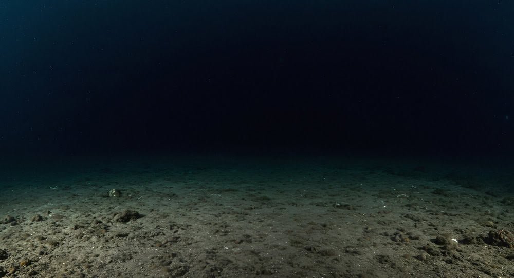 The Secrets of the Telescopefish’s Night Vision - A-Z Animals