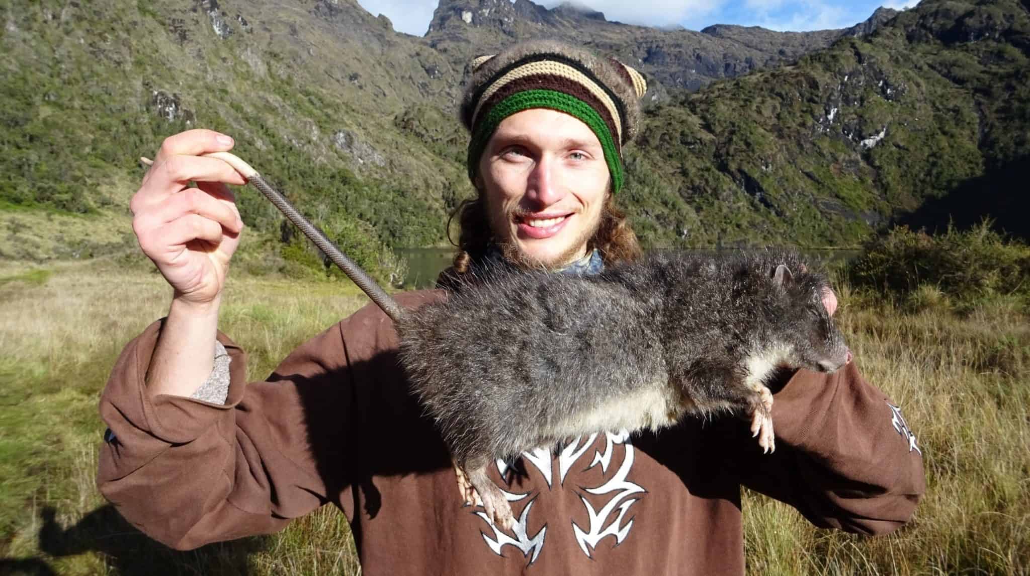 Massive Woolly Rat Surfaces After Being Lost for Decades - A-Z Animals