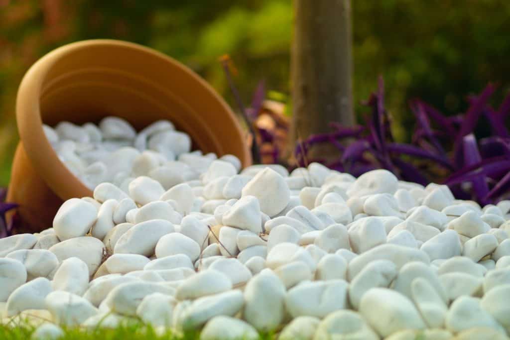Preparing Your Backyard for Winter Wildlife Visitors - A-Z Animals