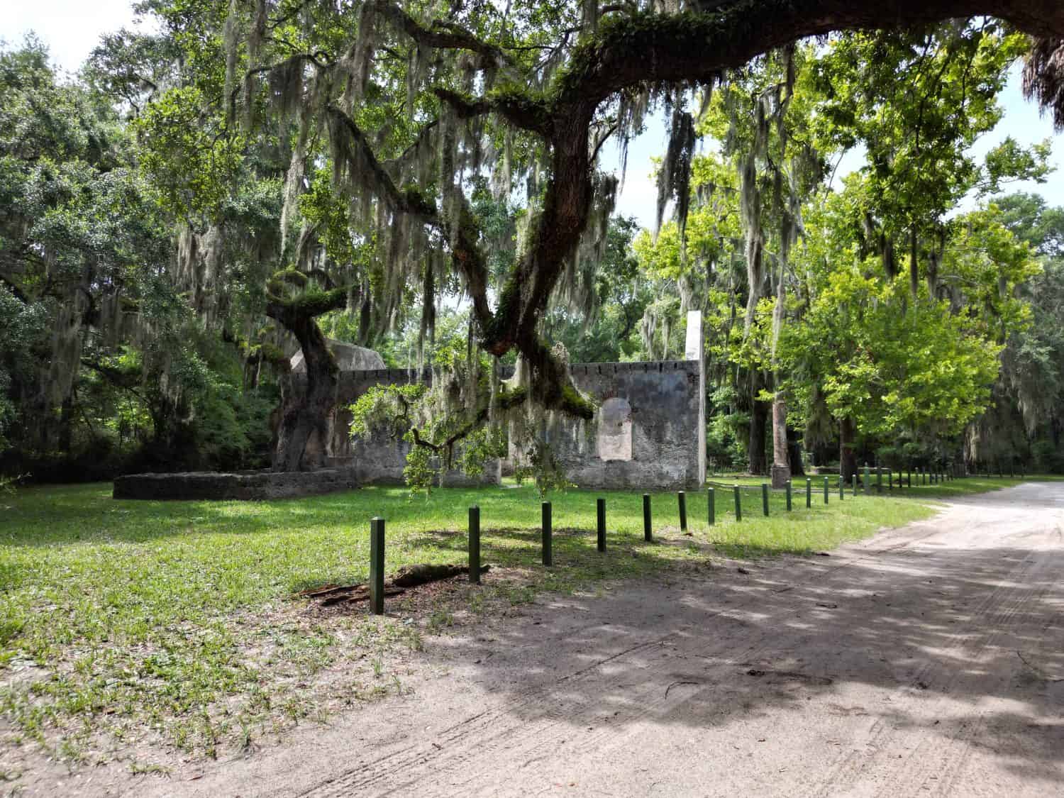 The Bizarre History of Morgan Island South Carolina’s Monkey Colony - A ...
