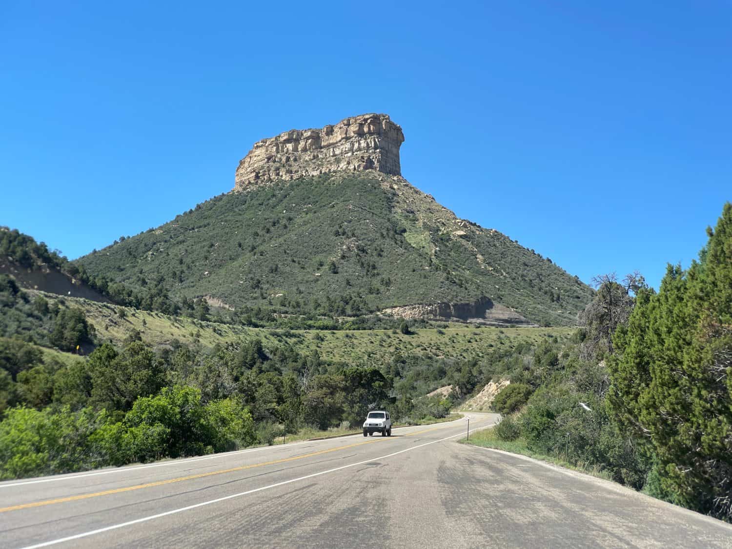 17 Snakes with Paralyzing Venom - A-Z Animals