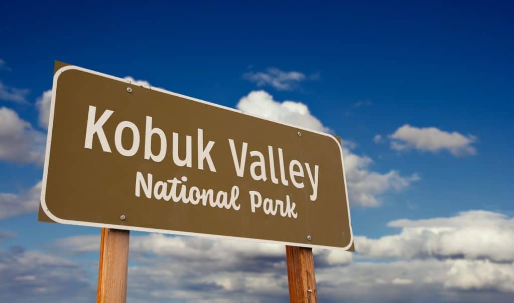 Meet the Animals of Kobuk Valley National Park - A-Z Animals