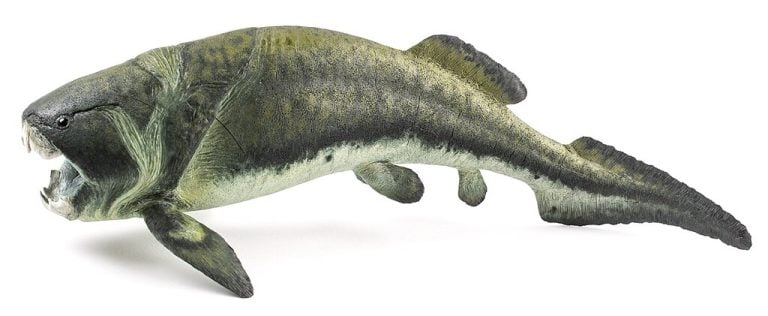 Scientists Reevaluate Cleveland’s Iconic Sea Monster - A-Z Animals