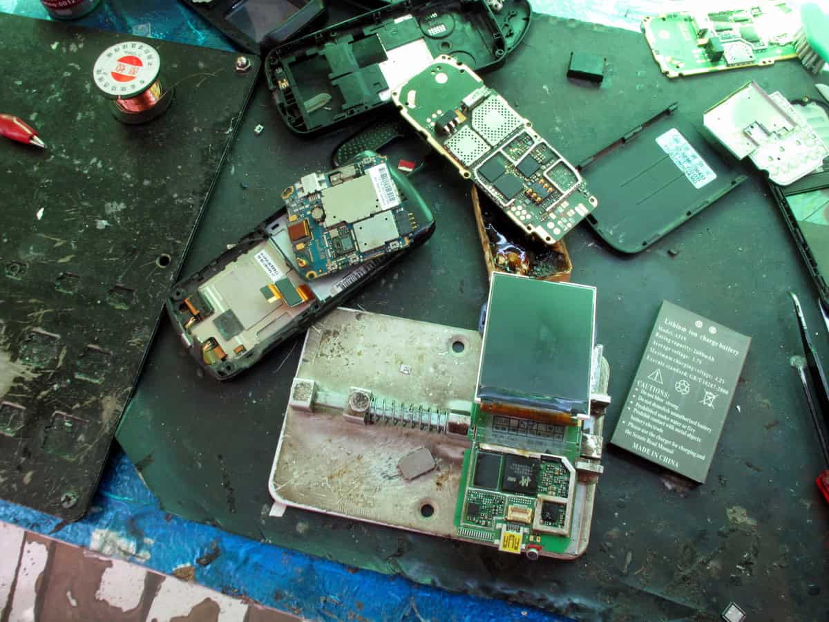 How Recycling Your Old iPhone Could Save a Gorilla's Life - A-Z Animals
