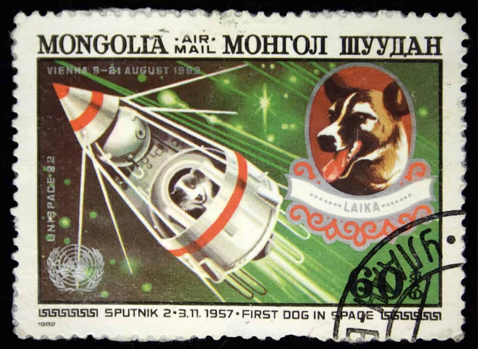 Laika the Space Dog: A Scientific Breakthrough Built on an Ethical Line ...