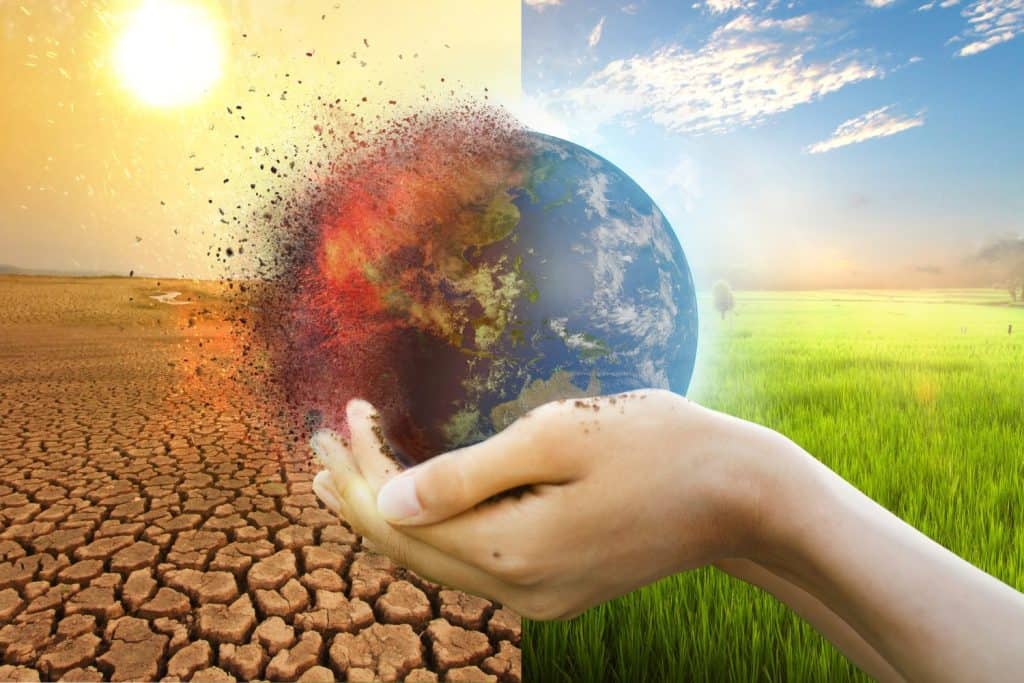 Could Climate Change Shift Where Rodent-Borne Viruses Show Up? - A-Z ...