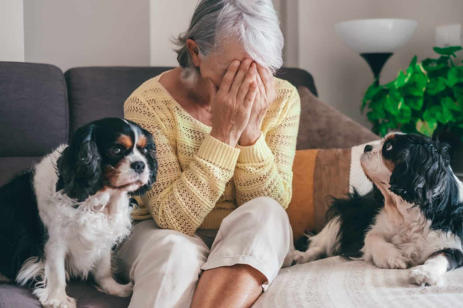 Why People Hoard Animals and How to Spot Early Warning Signs - A-Z Animals