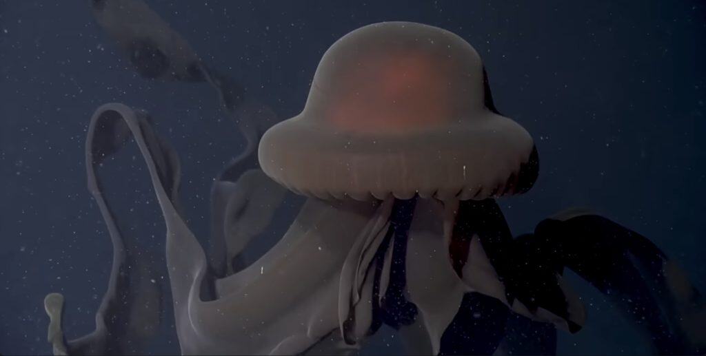Researchers Capture Footage of Deep-Sea Giant Phantom Jelly With 33 ...