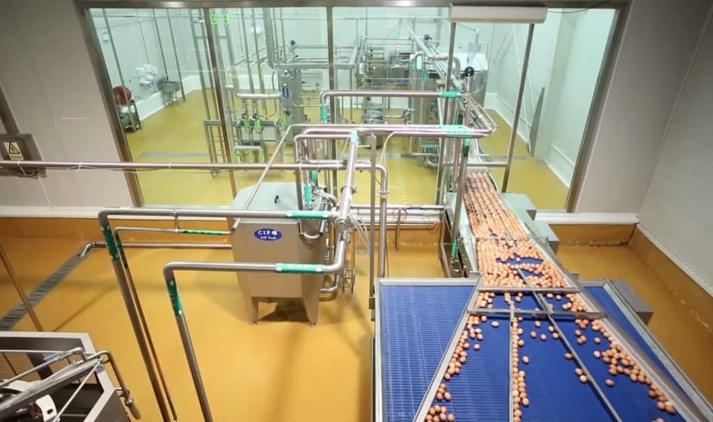3 Million Hens, One Building: The High-Tech "Egg City" Redefining ...