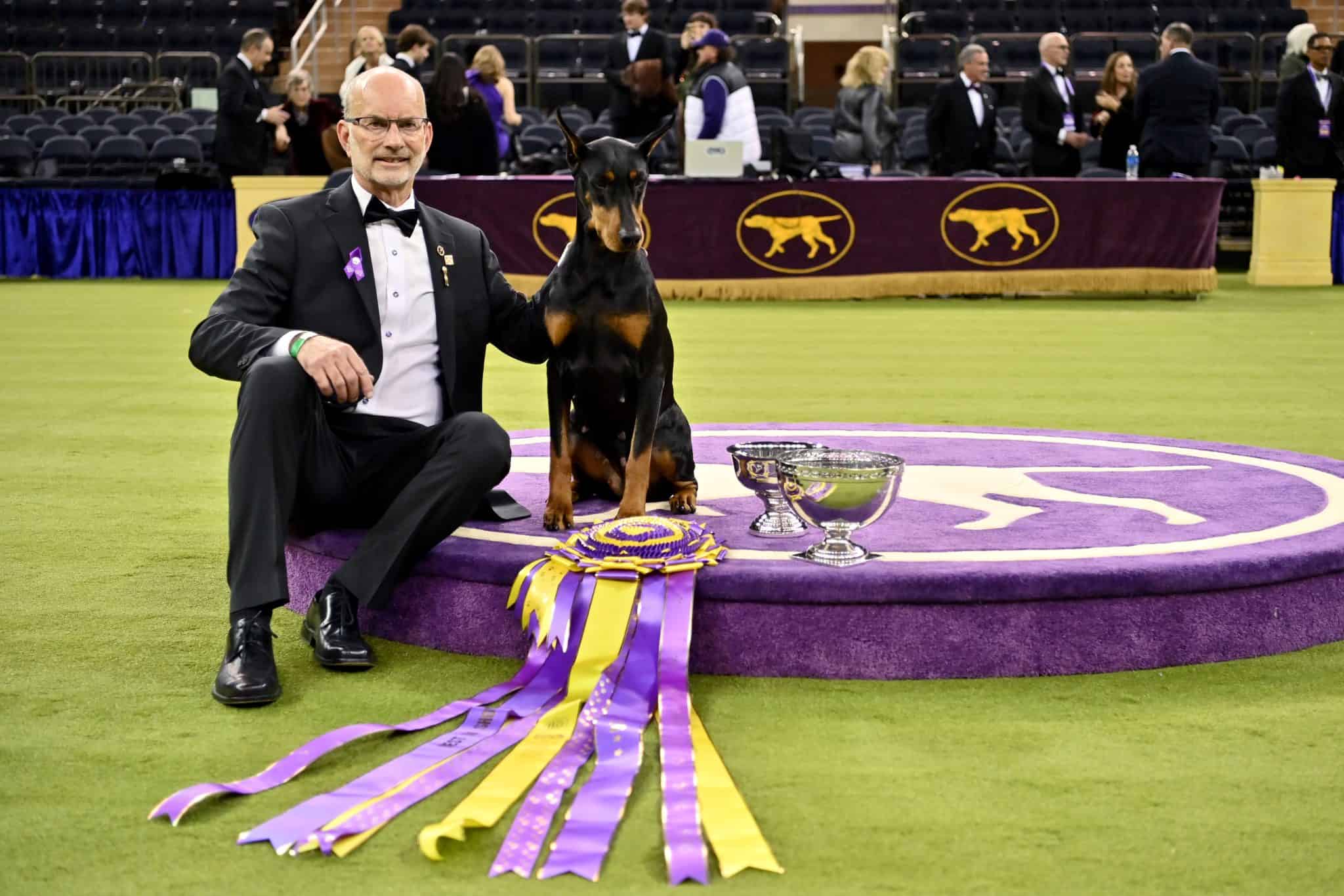What's the IHA, and How Will it Change Dog Breeds in the Years to Come ...